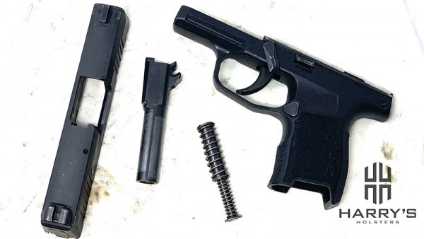 Sig P365 Review | Is It The Best of The High Capacity Micro 9s?